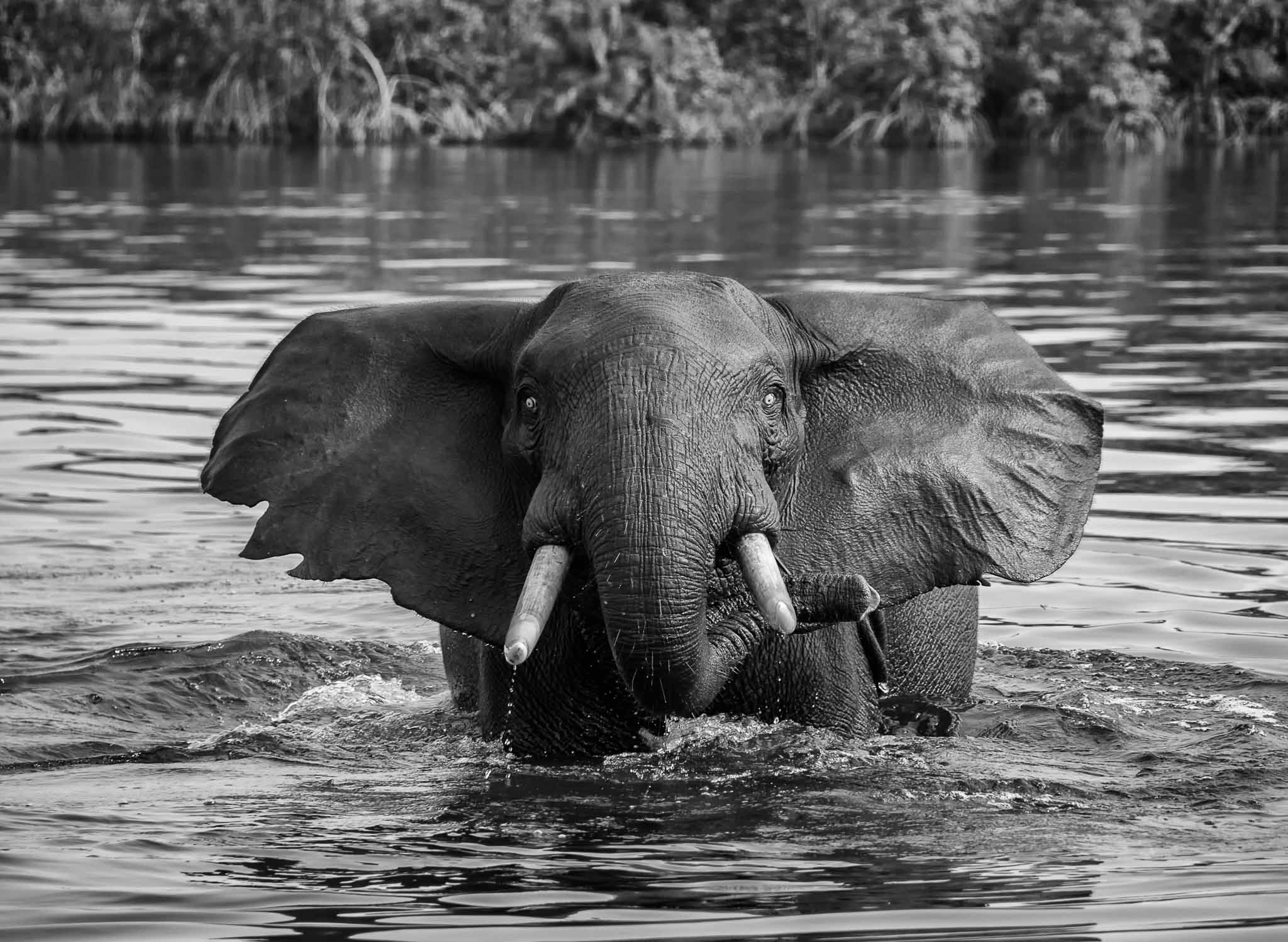 Fish the Beaches and Lagoons of Gabon