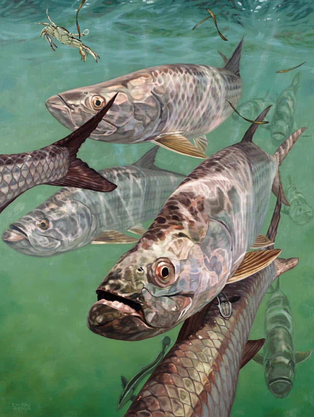24 Remarkable Paintings of Marine-Fish Artist Don Ray