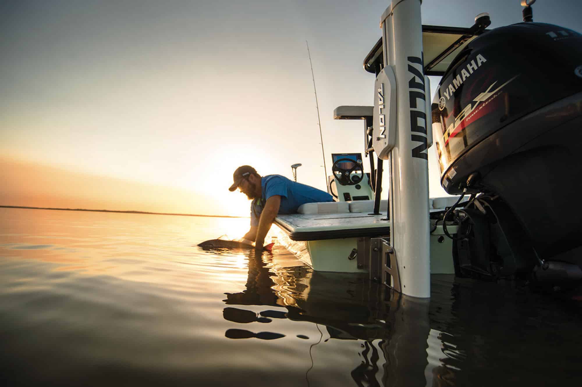 Power Pole Shallow Water Anchor