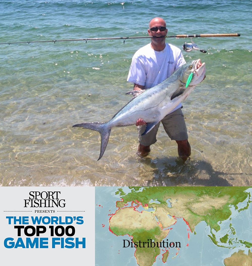 The World's Top 100 Saltwater Game Fish | Sport Fishing Mag