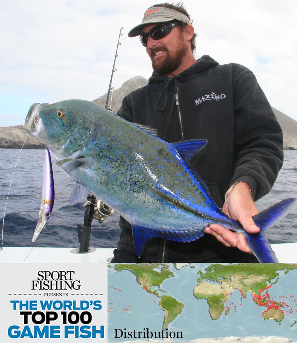 The World's Top 100 Saltwater Game Fish | Sport Fishing Mag