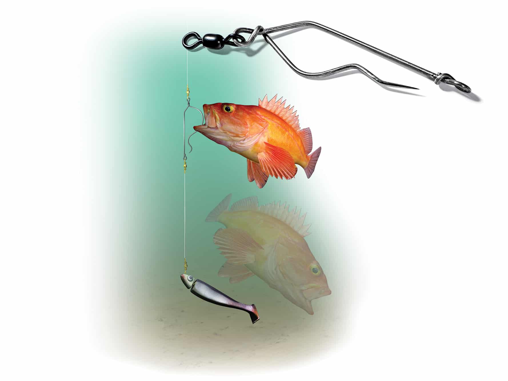 Fish Descender Devices | Sport Fishing Mag