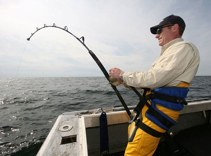 Fish Shape | Sport Fishing Mag