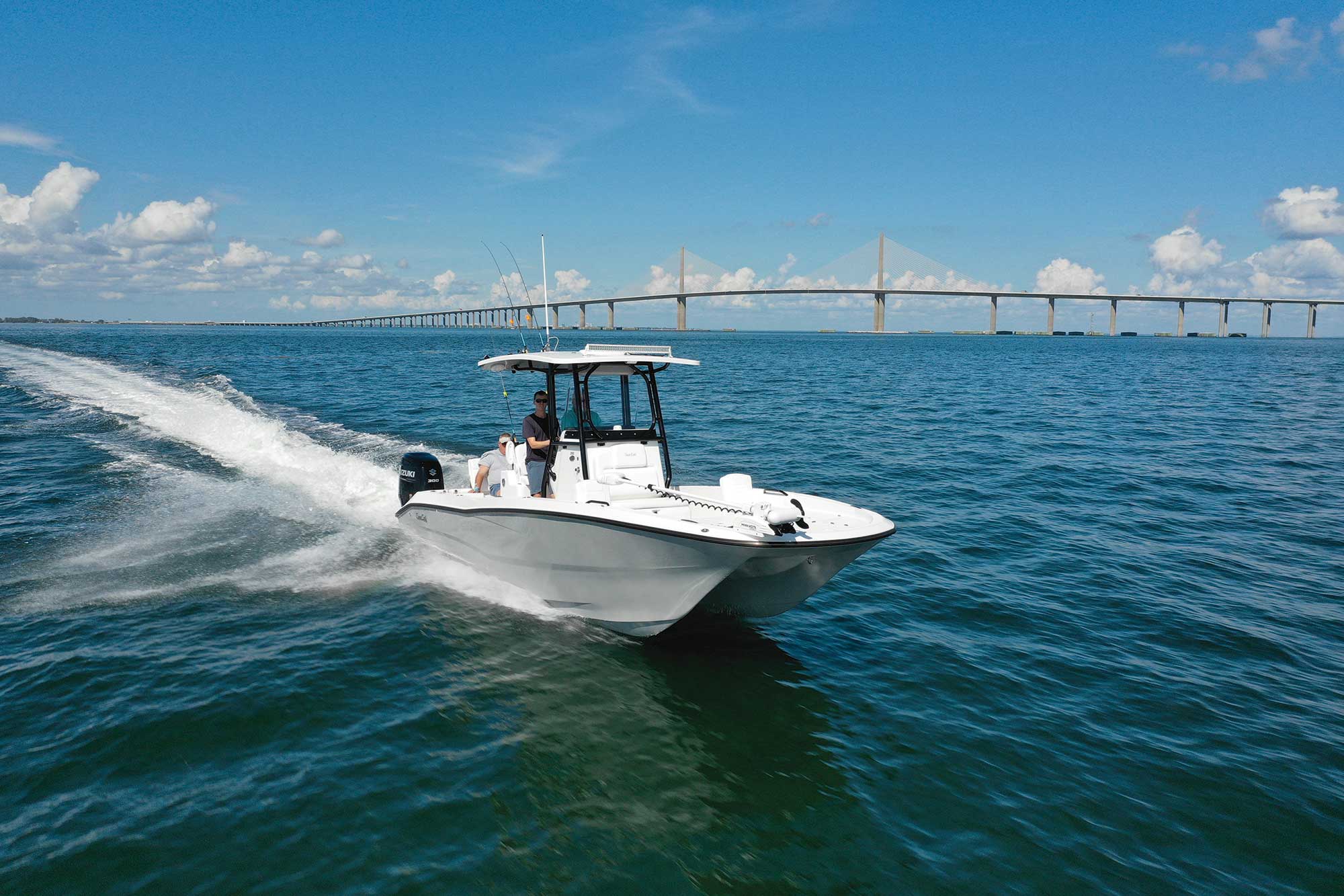 Sea Cat 260 First Glance