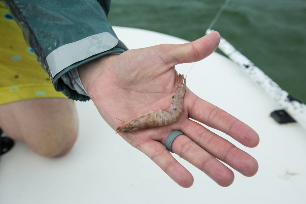Saltwater Fishing in Bad Weather Conditions | Sport Fishing Mag
