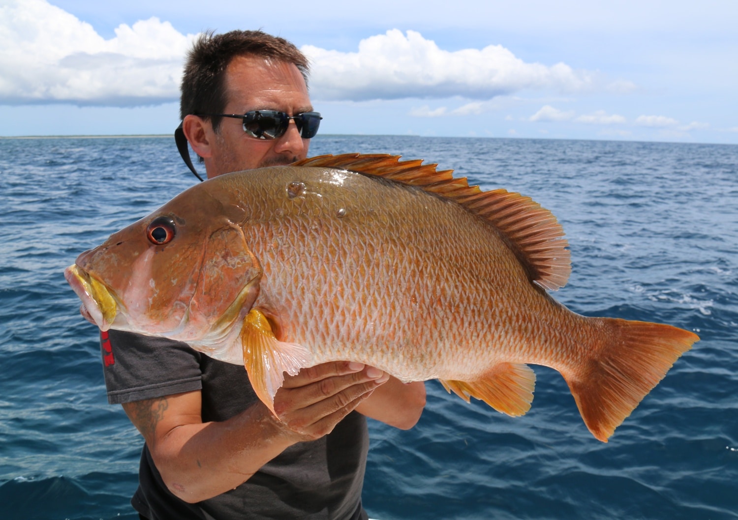 Fishing Caribbean Islands Casting Poppers and Stickbaits | Sport ...