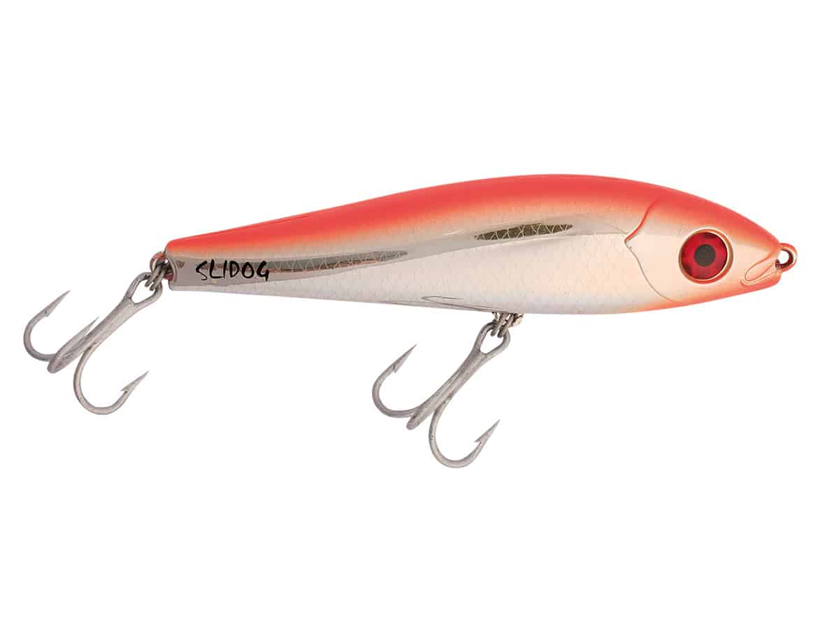 Best Topwater Lures for Saltwater Fishing | Sport Fishing Mag
