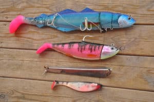 Norway's World-Record Cod Fishing