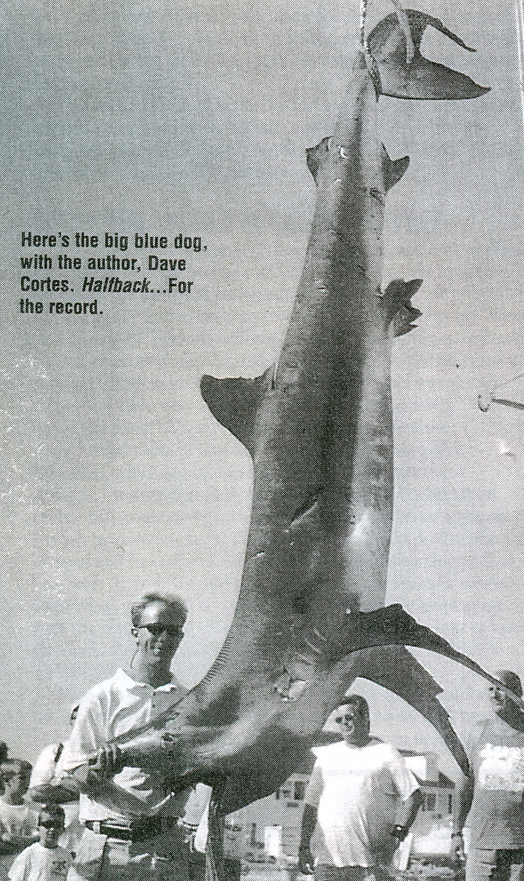 Biggest Fish Ever Caught | Sport Fishing Mag