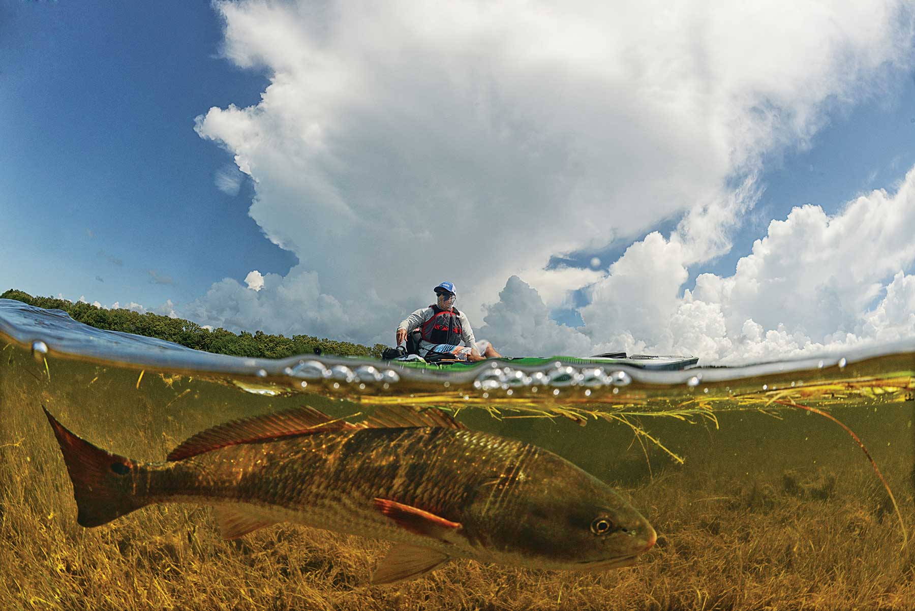 Does Sound Affect Fishing? | Sport Fishing Mag