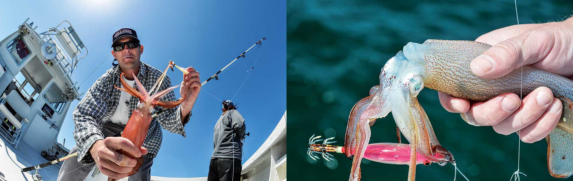 Squid Fishing in the Northeast | Sport Fishing Mag