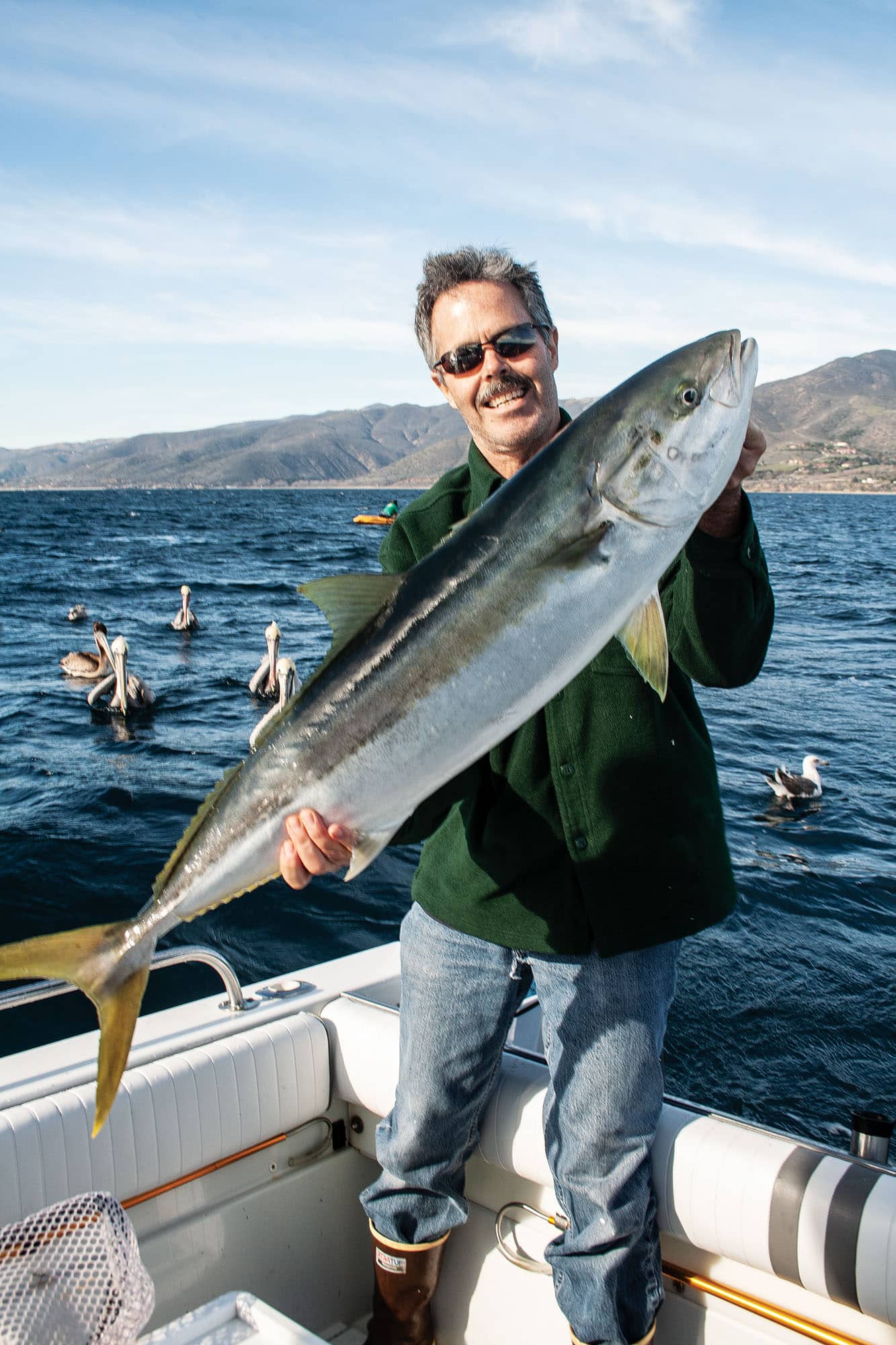 Tactics and Tackle to Take California Yellowtail | Sport Fishing Mag