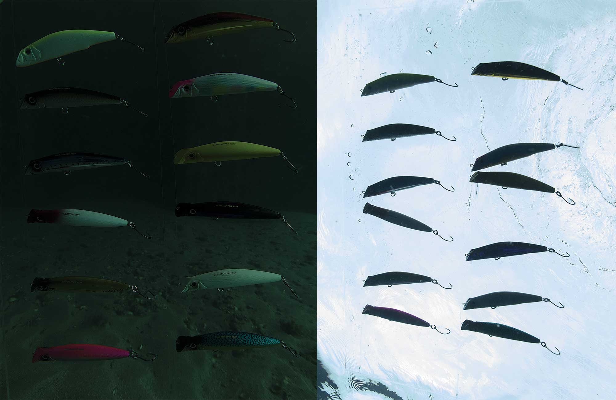 How and What Fish See Underwater | Sport Fishing Mag
