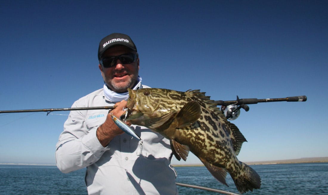Understanding Fishing Rod Butt Designs and Materials | Sport Fishing Mag