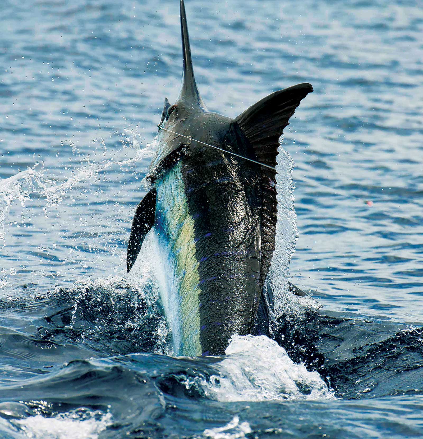 How Moon Phase Affects Fishing Success | Sport Fishing Mag