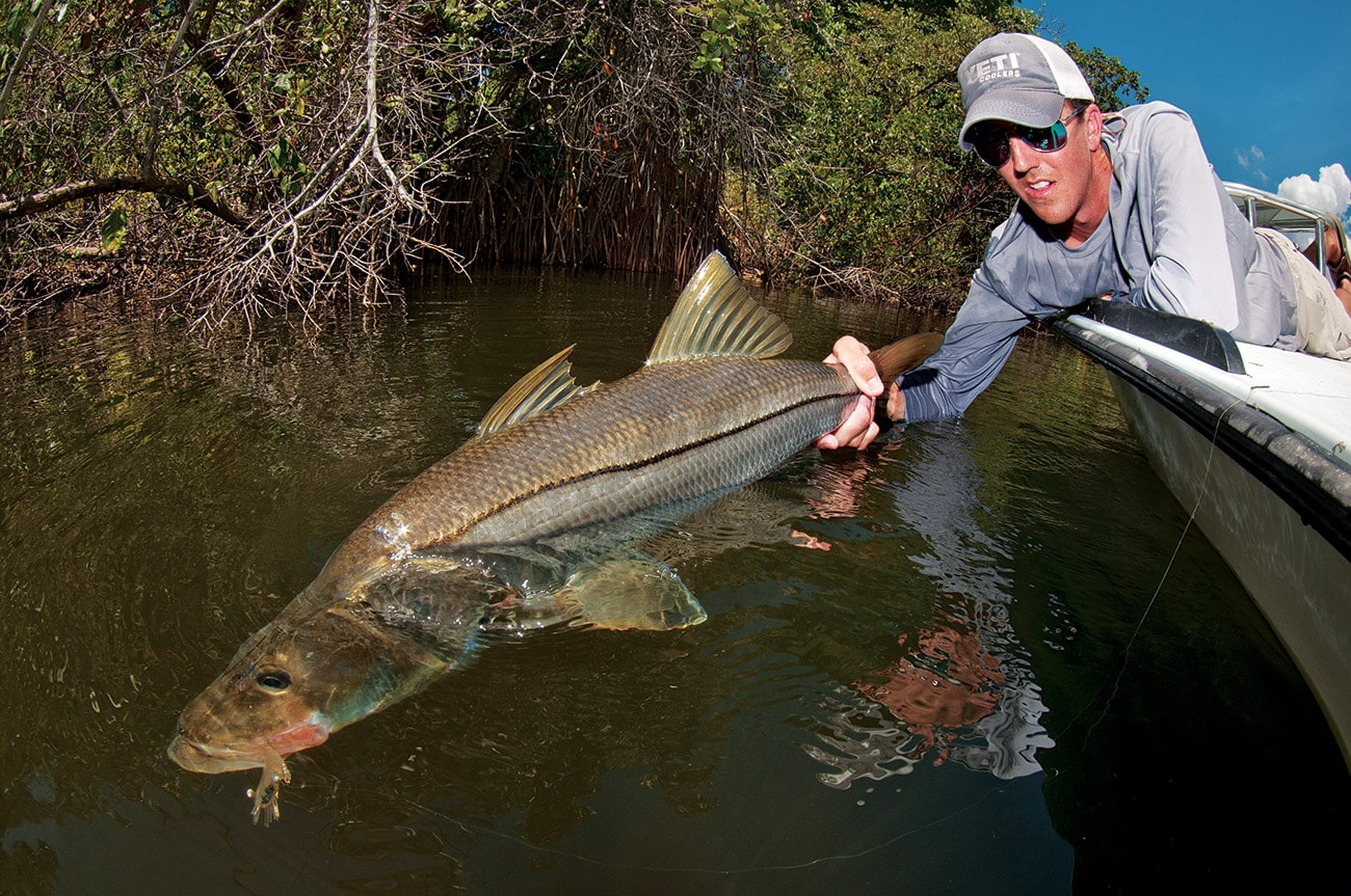 Snook Fishing Tips, Catching Trophy Snook | Sport Fishing Mag