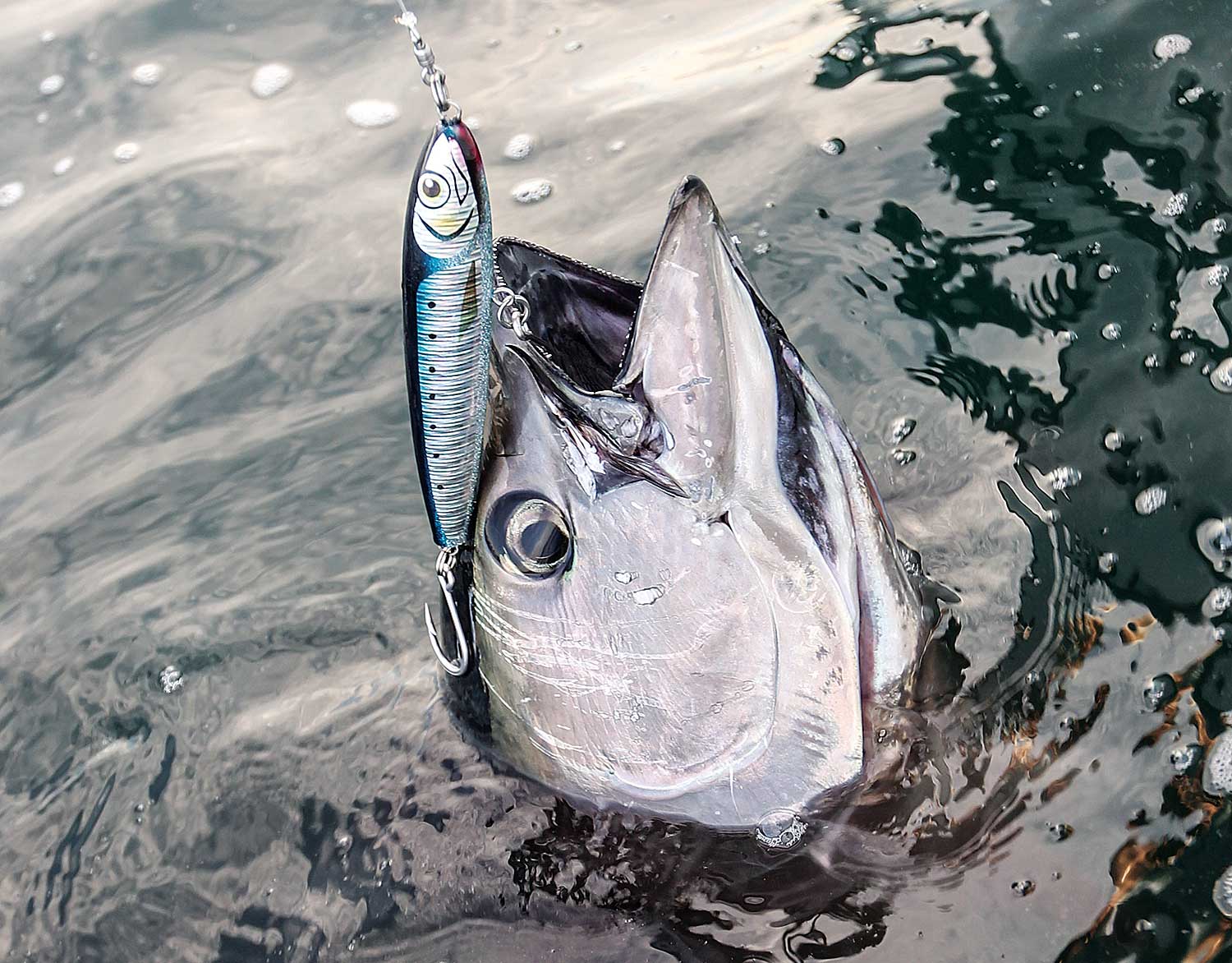 How to Fish Stickbaits | Sport Fishing Mag