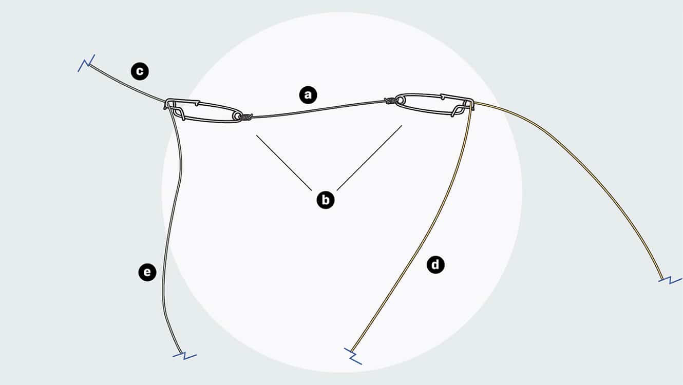Green-Stick Tuna Fishing | Sport Fishing Mag