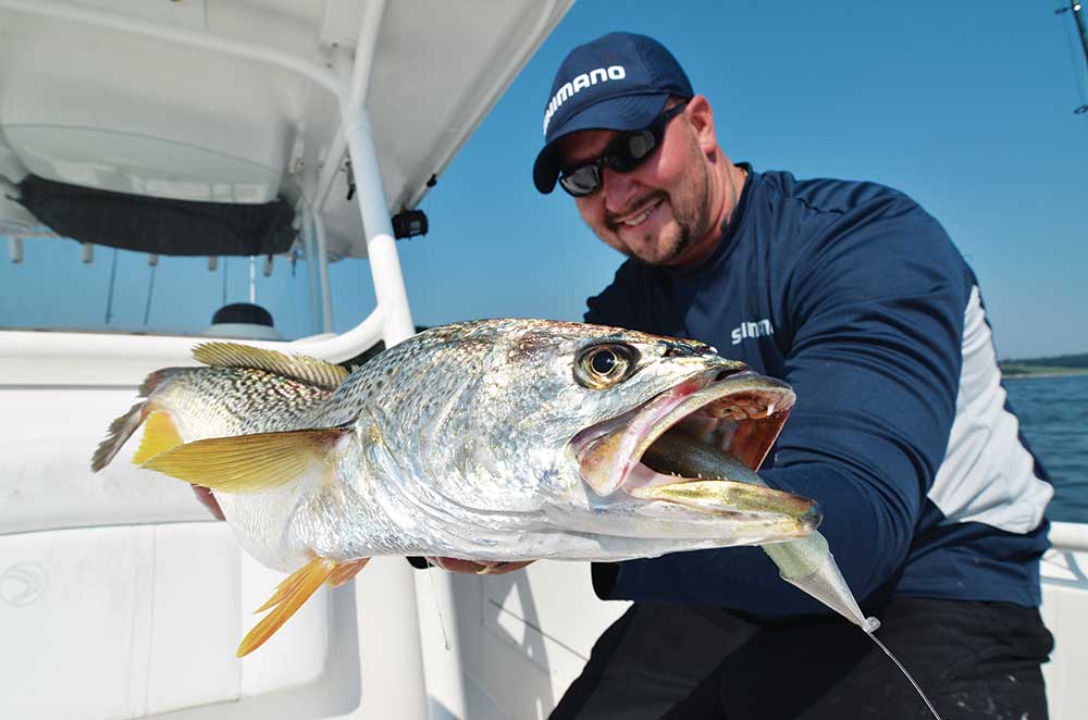 Tips for Targeting Weakfish | Sport Fishing Mag