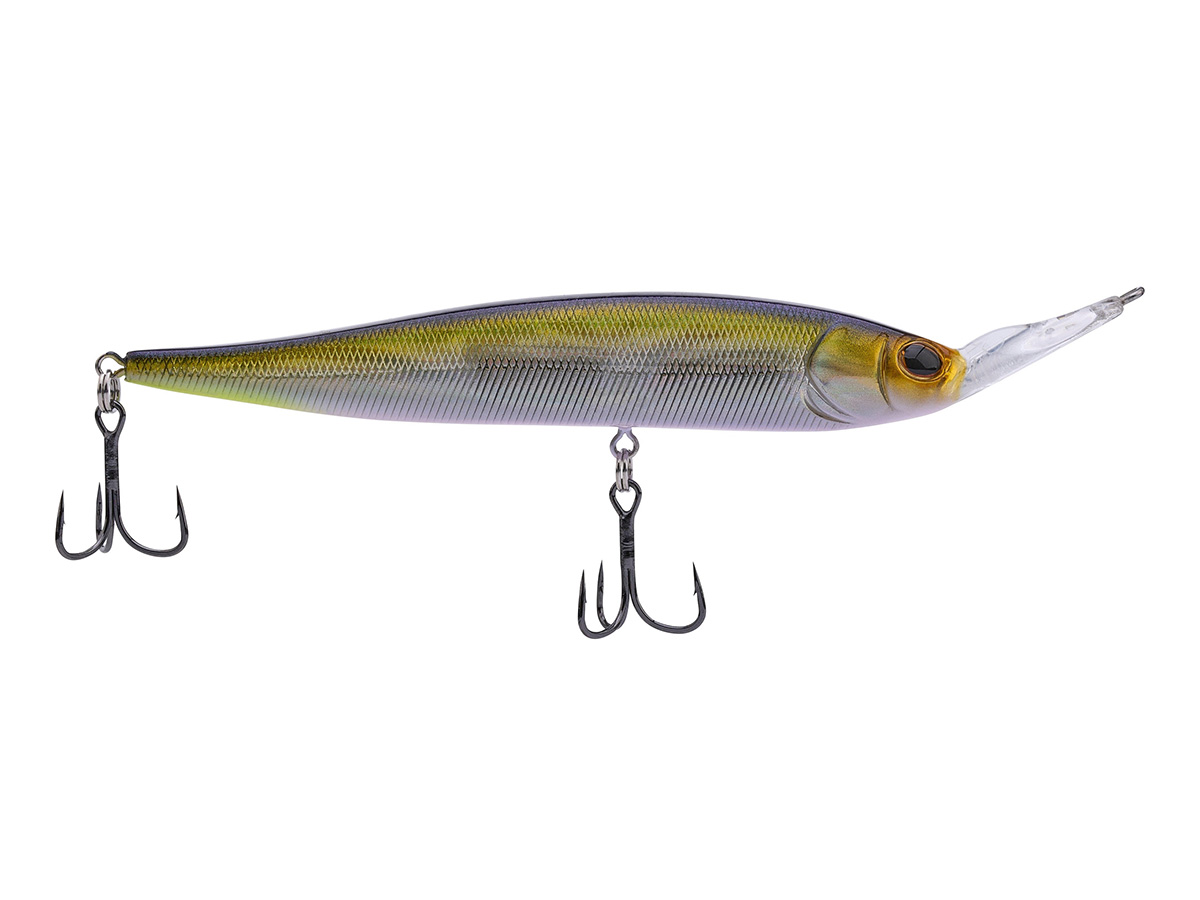 Best Lures for Forward Facing Sonar | Sport Fishing Mag