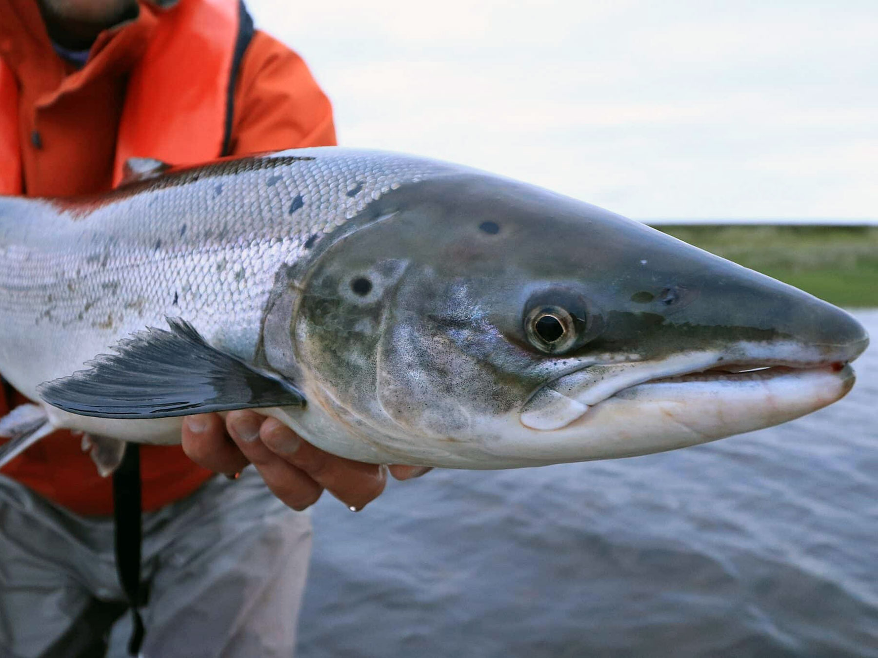 Salmon Fishing in Ireland | Sport Fishing Mag