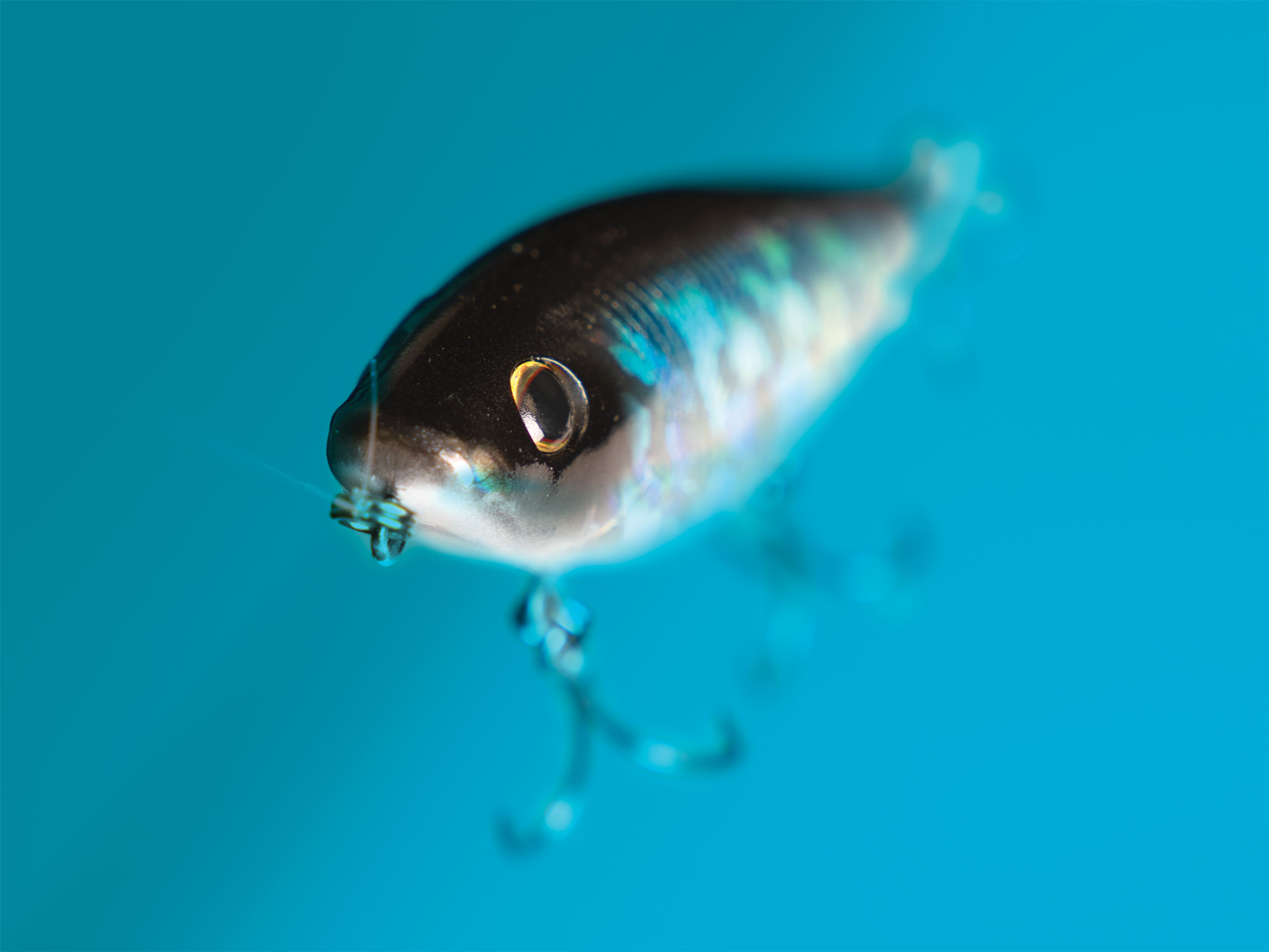 Four Lures to Cast in Shallow Water