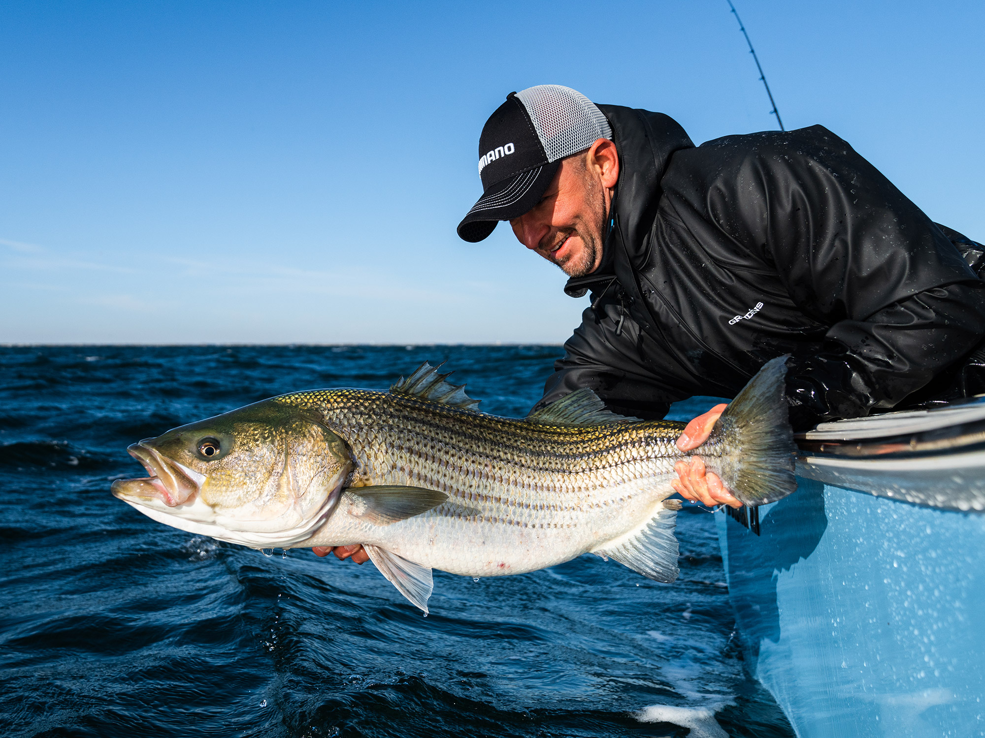 Striped Bass Closures Pending for 2026